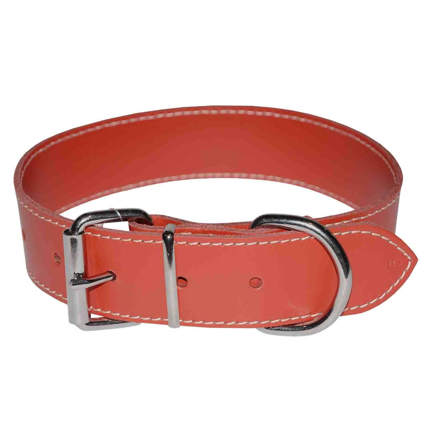 Zgardă pentru câini, 4DOG, Piele, Roșie, Nr. 5, 40 630 mm